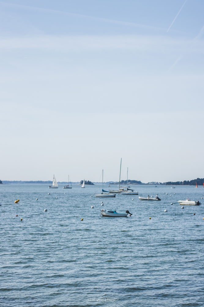 Balade à Arradon, entre mer et fleurs – Une ancre à l'Ouest